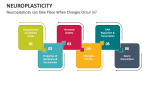 Neuroplasticity PowerPoint Presentation Slides - PPT Template