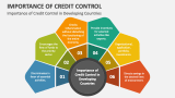Importance of Credit Control PowerPoint Presentation Slides - PPT Template