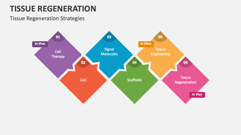 Tissue Regeneration PowerPoint and Google Slides Template - PPT Slides