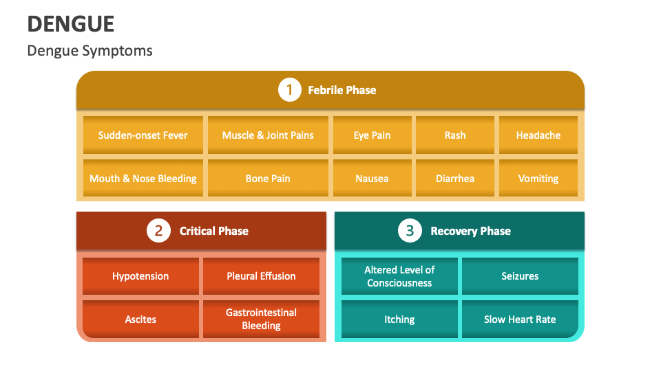 Dengue PowerPoint and Google Slides Template - PPT Slides