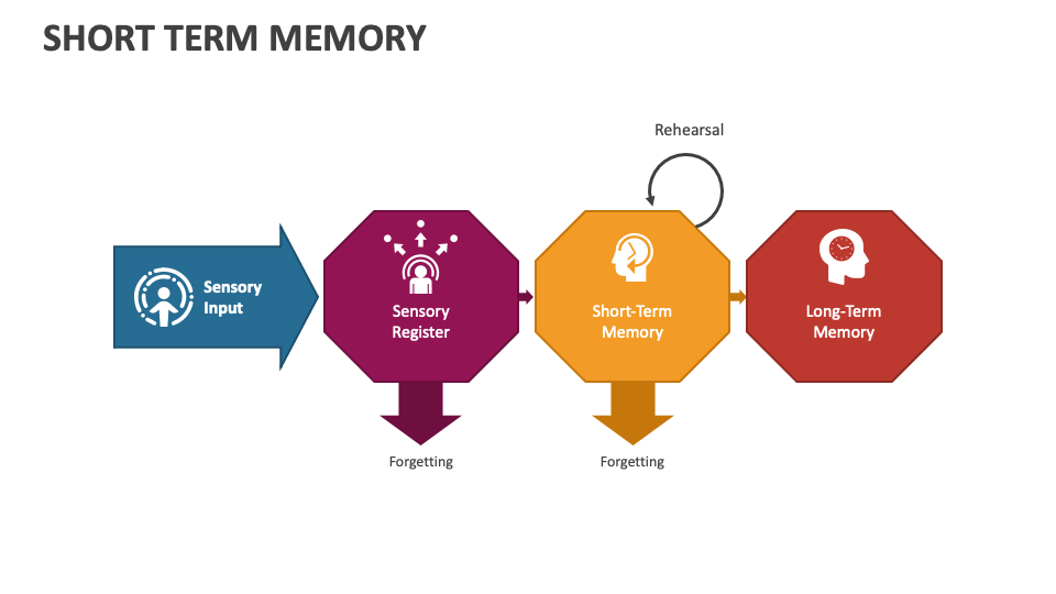 Short Term Memory PowerPoint and Google Slides Template - PPT Slides