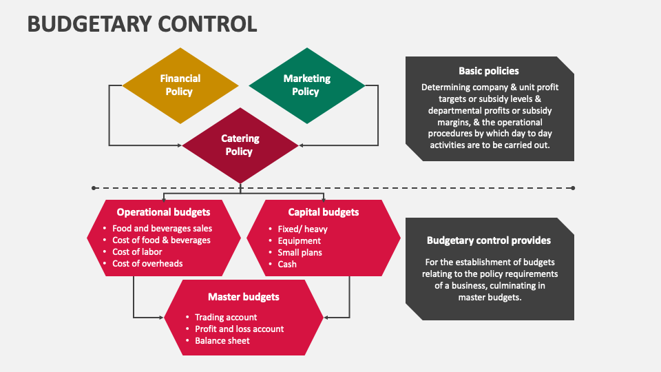 Budgetary Control PowerPoint and Google Slides Template - PPT Slides