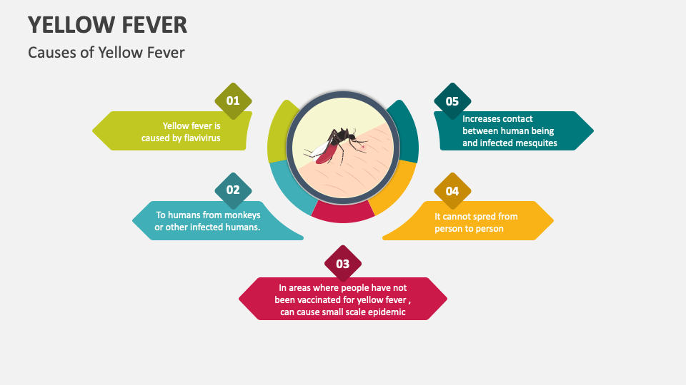 Yellow Fever Infected Person