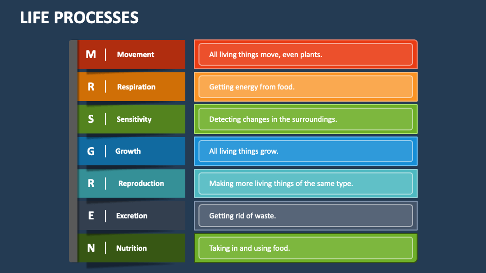 Life Processes PowerPoint and Google Slides Template - PPT Slides