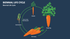 Plant Life Cycle PowerPoint and Google Slides Template - PPT Slides