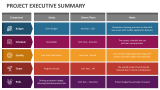 Project Executive Summary PowerPoint Presentation Slides - PPT Template