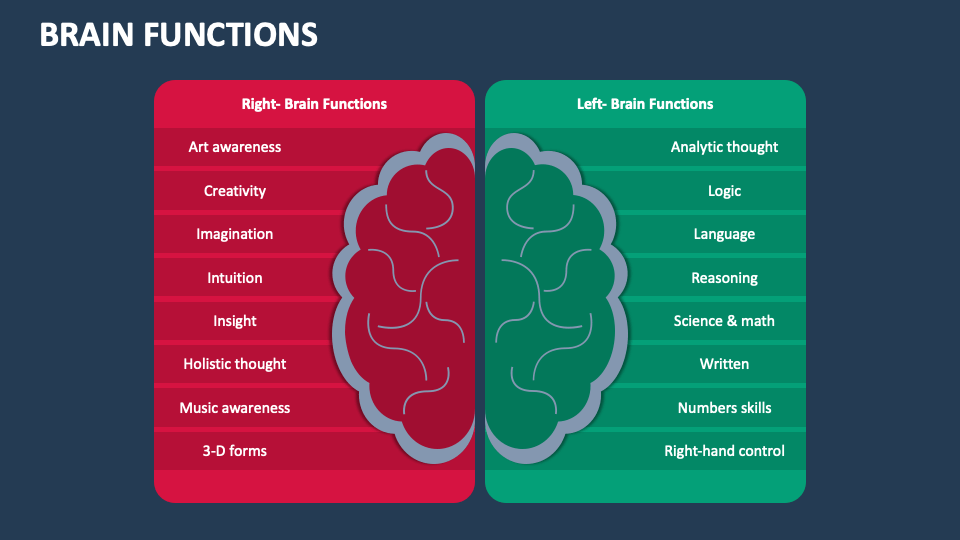 Brain Functions PowerPoint and Google Slides Template - PPT Slides
