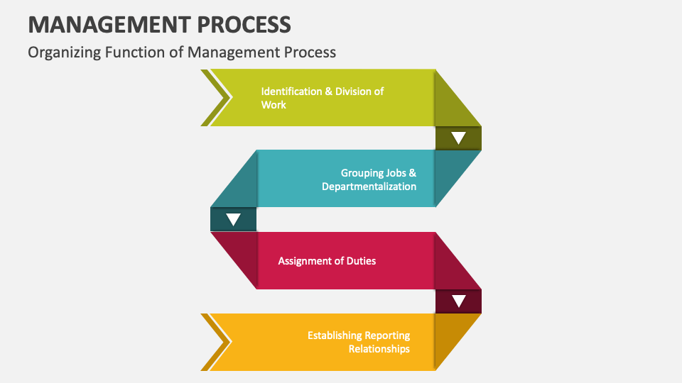 Management Process PowerPoint and Google Slides Template - PPT Slides
