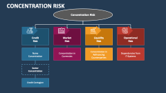 Concentration Risk PowerPoint Presentation Slides - PPT Template