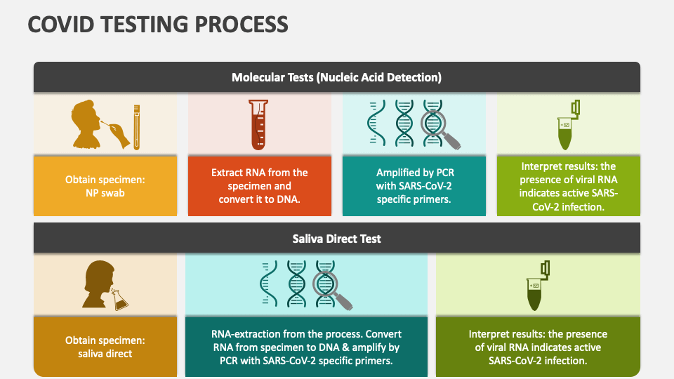 Covid Testing Process PowerPoint Presentation Slides - PPT Template