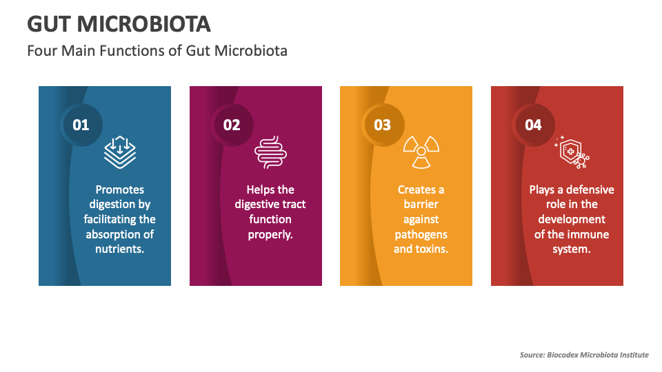 Gut Microbiota PowerPoint and Google Slides Template - PPT Slides