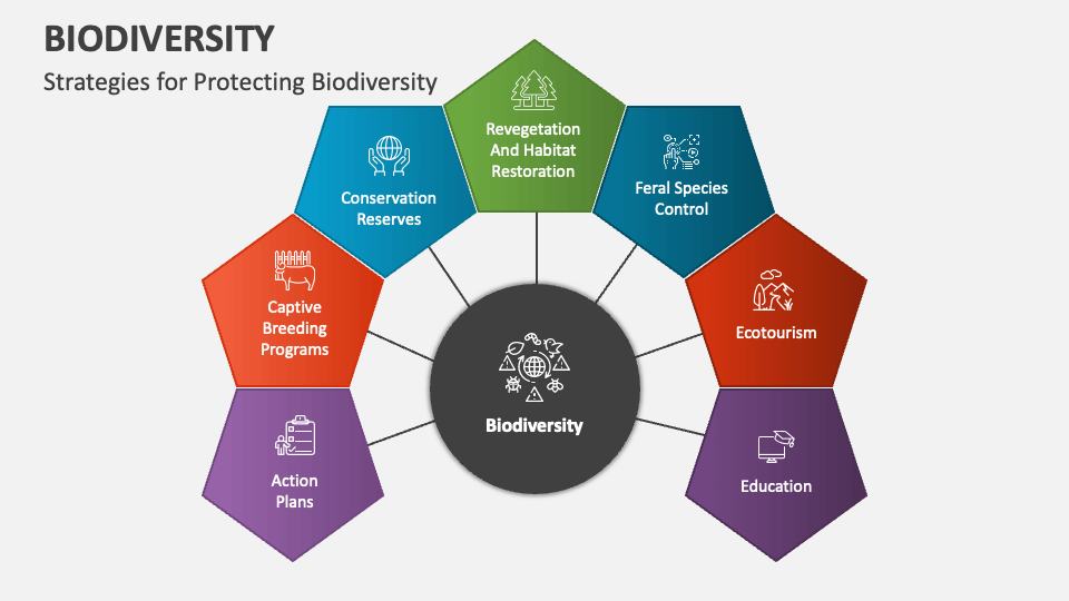 Biodiversity PowerPoint and Google Slides Template - PPT Slides