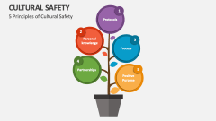 Cultural Safety PowerPoint Presentation Slides - PPT Template