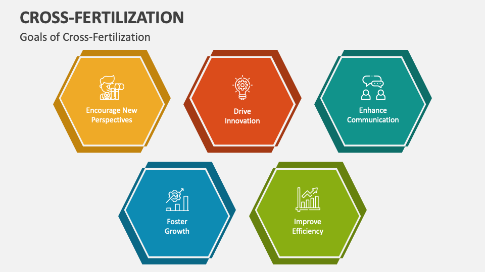 Cross-Fertilization PowerPoint and Google Slides Template - PPT Slides