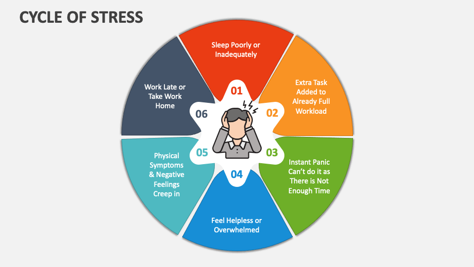 Cycle of Stress PowerPoint Presentation Slides - PPT Template