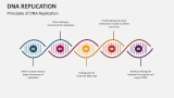 DNA Replication PowerPoint and Google Slides Template - PPT Slides