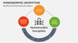 Homomorphic Encryption PowerPoint and Google Slides Template - PPT Slides