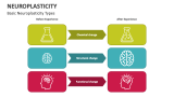 Neuroplasticity PowerPoint Presentation Slides - PPT Template