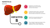 Hepatitis B PowerPoint and Google Slides Template - PPT Slides