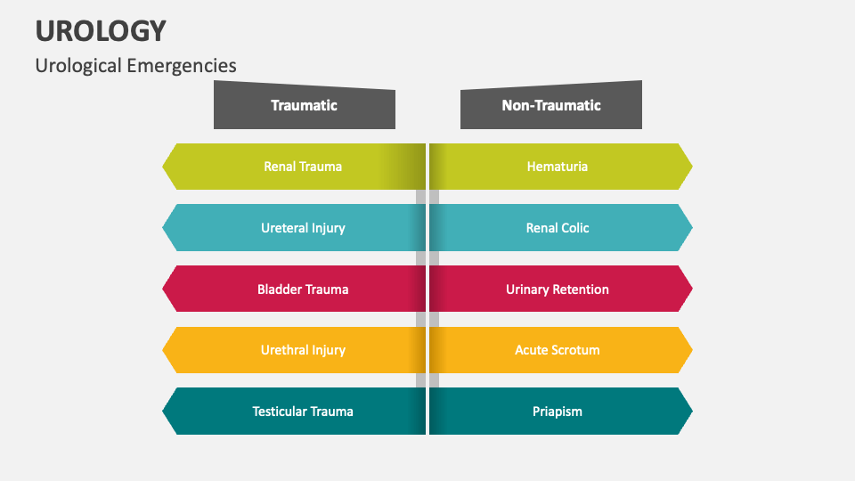 Urology PowerPoint Presentation Slides - PPT Template