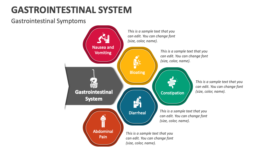 Gastrointestinal System PowerPoint and Google Slides Template - PPT Slides