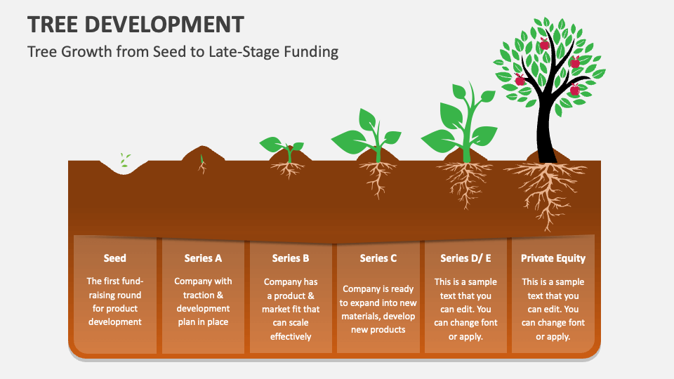 Tree Development PowerPoint Presentation Slides - PPT Template