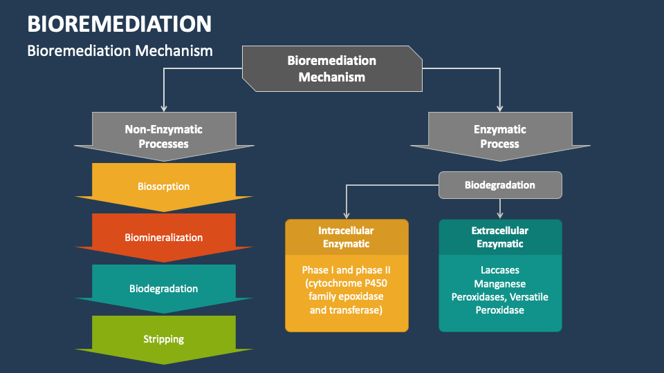 Bioremediation PowerPoint Presentation Slides - PPT Template