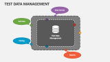 Test Data Management PowerPoint Presentation Slides - PPT Template
