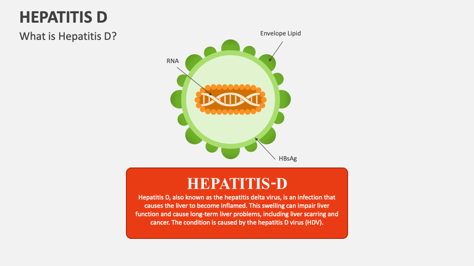 Hepatitis D PowerPoint and Google Slides Template - PPT Slides