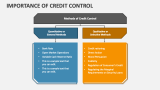 Importance of Credit Control PowerPoint Presentation Slides - PPT Template