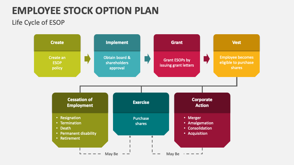 Employee Stock Option Plan PowerPoint Presentation Slides - PPT Template