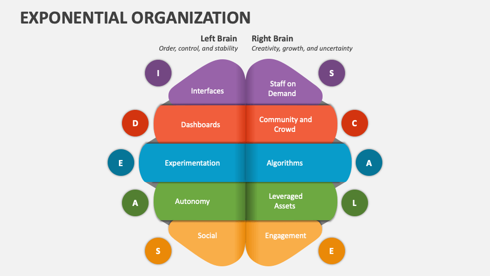 Exponential Organization PowerPoint and Google Slides Template - PPT Slides