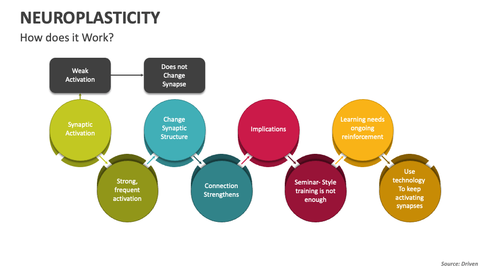Neuroplasticity PowerPoint Presentation Slides - PPT Template Neuroplasticity PowerPoint Presentation Slides - PPT Template