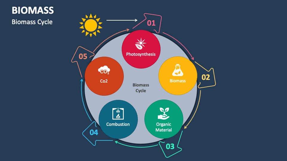 Biomass Cycle
