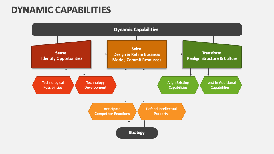 Dynamic Capabilities PowerPoint and Google Slides Template - PPT Slides Dynamic Capabilities PowerPoint and Google Slides Template - PPT Slides