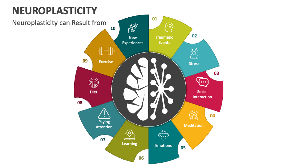 Neuroplasticity PowerPoint Presentation Slides - PPT Template