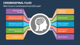 Cerebrospinal Fluid PowerPoint Presentation Slides - PPT Template