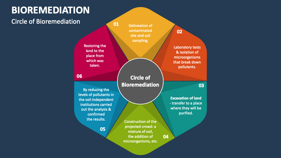 Bioremediation PowerPoint Presentation Slides - PPT Template