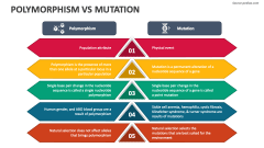 Polymorphism Vs Mutation PowerPoint and Google Slides Template - PPT Slides