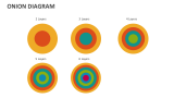 Onion Diagram PowerPoint Presentation Slides - PPT Template