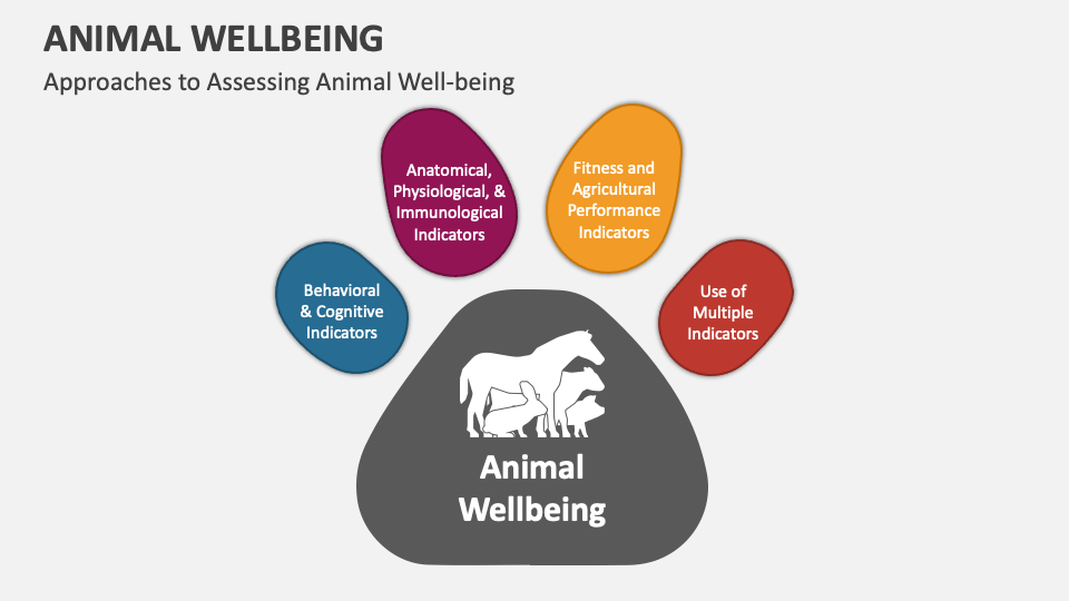 Animal Wellbeing PowerPoint and Google Slides Template - PPT Slides