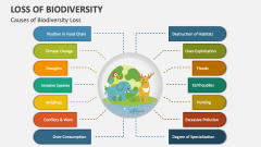 Free Biodiversity Theme for Google Slides and PowerPoint