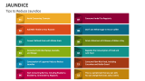Jaundice PowerPoint and Google Slides Template - PPT Slides