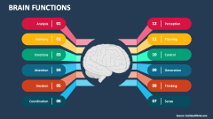Brain Functions PowerPoint and Google Slides Template - PPT Slides