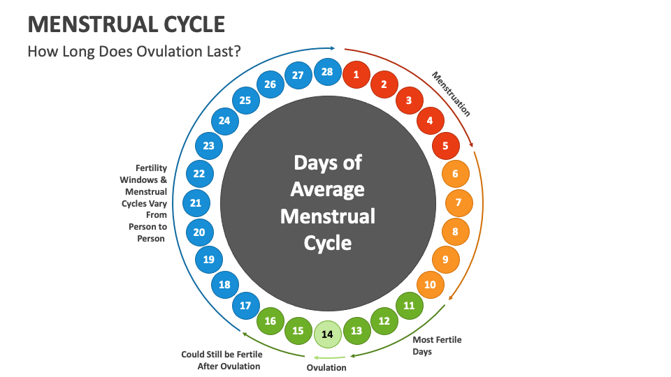 Menstrual Cycle PowerPoint Presentation Slides - PPT Template Menstrual Cycle PowerPoint Presentation Slides - PPT Template