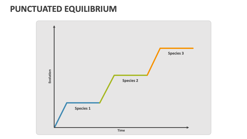 Punctuated Equilibrium PowerPoint Presentation Slides - PPT Template Punctuated Equilibrium PowerPoint Presentation Slides - PPT Template