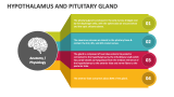 Hypothalamus and Pituitary Gland PowerPoint Presentation Slides - PPT Template