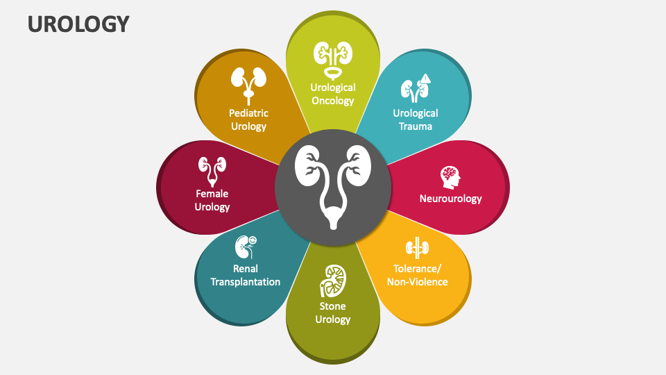 Urology PowerPoint Presentation Slides - PPT Template