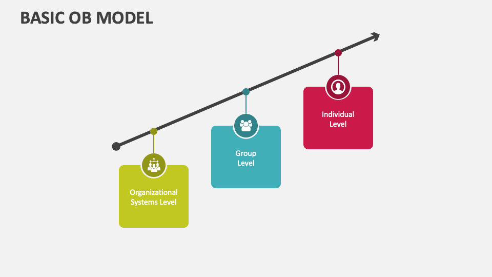 Basic OB Model PowerPoint Presentation Slides - PPT Template