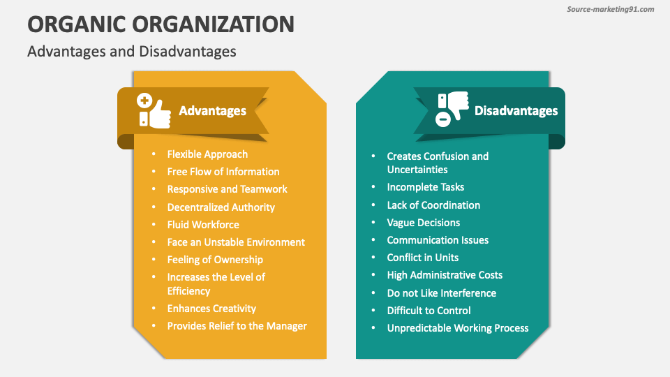 Organic Organization PowerPoint and Google Slides Template - PPT Slides